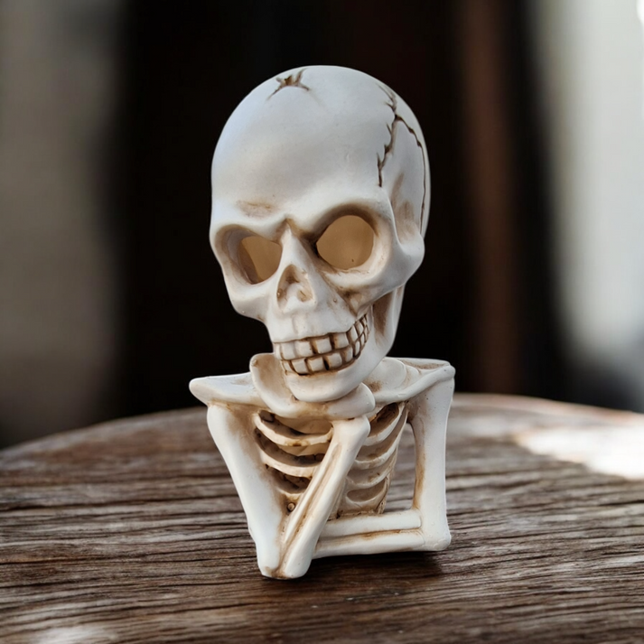 Skeleton Tarantula Tank Decor – Tarantula Army