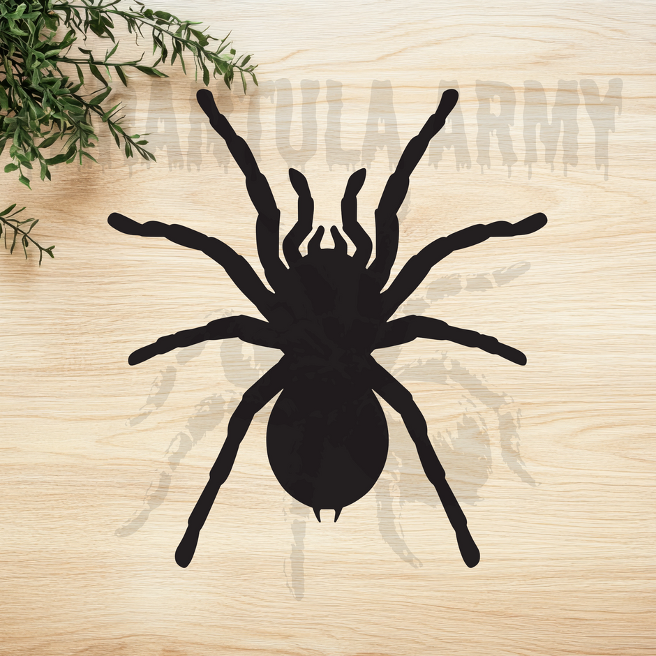 Car Decal Stickers – Tarantula Army